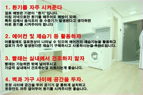 겨울철 결로현상 원인과 해결방법 네이버 블로그