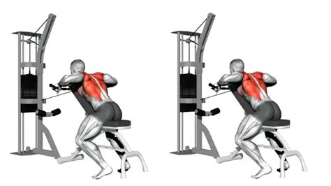 Cable Row How To Do Form Variations And Benefits