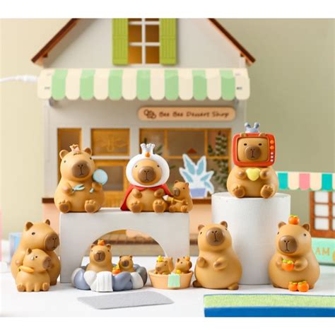 พร้อมส่งจากไทย กล่องสุ่มคาปิบาร่า สุ่ม 1 ชิ้น กล่องสุ่มน้องกะปิปลาร้า มีหลายแบบสำหรับเก็บ