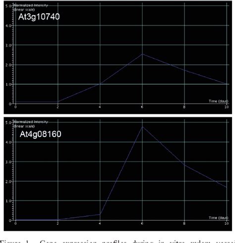 Figure 1 From Characterization Of α L Arabinofuranosidase Related To The Secondary Cell Walls
