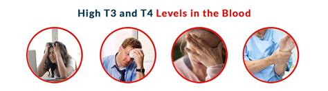 Tsh Test What Is T3 T4 And Tsh Normal Range