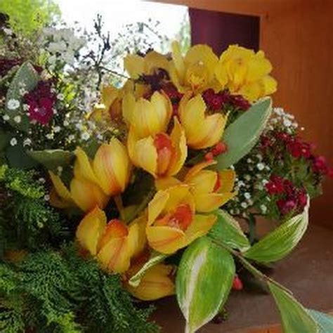 젊은할머니 Youtube