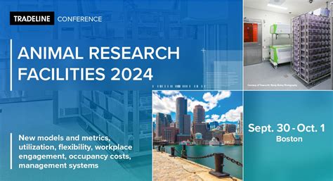 Delaney Facchetti On Linkedin Looking Forward To Seeing Rohit Saxena