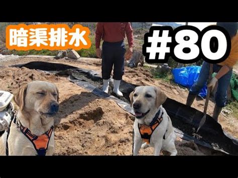 空き家の古民家DIY 80庭の水溜まり解消最近メチャ雨が降るので暗渠排水やってみた YouTube