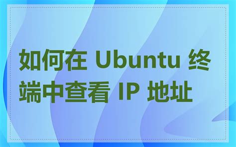 如何在 Ubuntu 终端中查看 Ip 地址