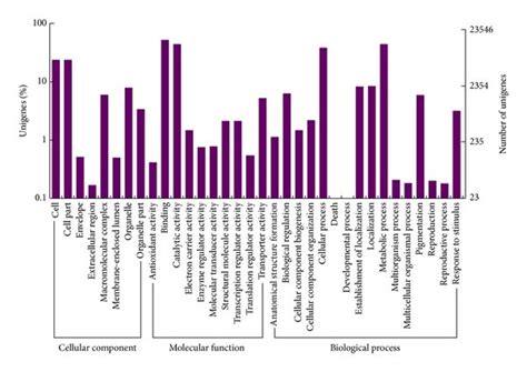Functional Annotation Based On Gene Ontology GO Download Scientific Diagram