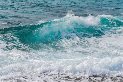 Free Picture Sea Seascape Seashore Splash Summer Water Waves