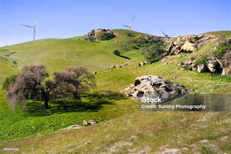 오크 나무와 콘트라 코스타 카운티 동부 샌 프란 시스 코 베이 지역 캘리포니아의 언덕에 바람 터빈 0명에 대한 스톡 사진 및 기타 이미지 Istock