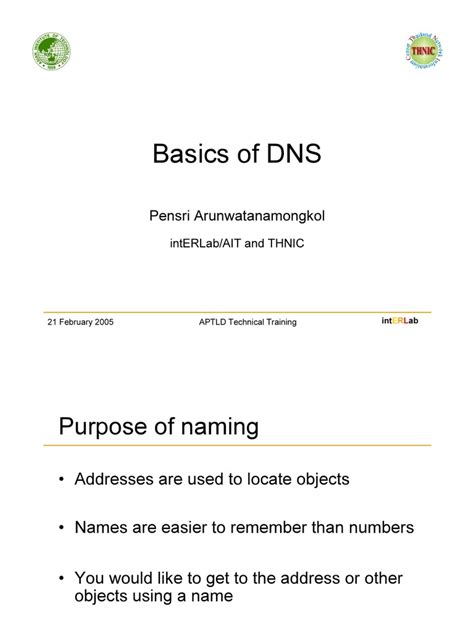 Dna Basics Pdf Technology And Engineering