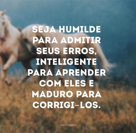51 Frases De Sabedoria Para Aprender Mais Sobre A Vida Artofit