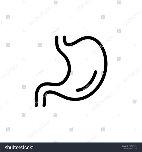 Stomach Line Icon Medical Outline Symbol Stock Vector Royalty Free