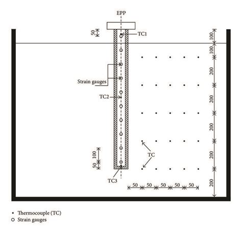 Details Of Model Pile And Pile Instrumentation Download Scientific Diagram