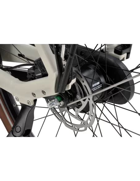 Batavus Altura E Go Power BES3 Incl 500wh 2024 Dames Het Zwarte