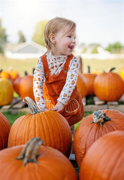 10000 Free Pumpkin Inside And Pumpkin Images Pixabay