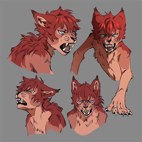 「some Feline Face Study Many Leos 」kaburionのイラスト
