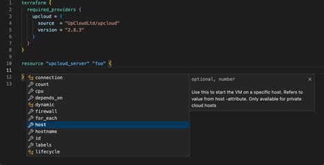 Raising Awareness Provider Schema Descriptions Can Boost Productivity Rterraform