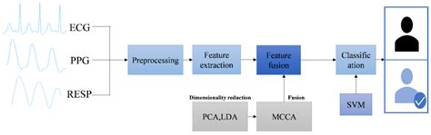 A Biometric Identification For Multi Modal Biomedical Signals In