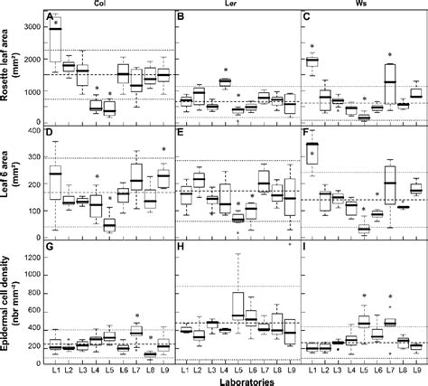 Leaf Growth Phenotypes Of Three Genotypes Across Nine Independent