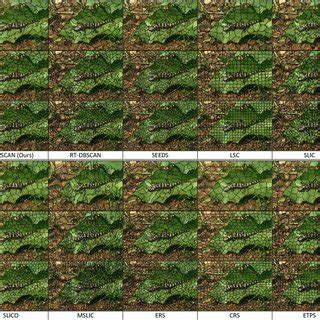 Pdf Accelerated Superpixel Image Segmentation With A Parallelized