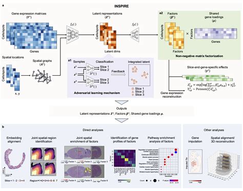 Github Jiazhao97inspire Inspire Interpretable Flexible And