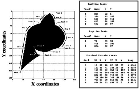 Contour Segmentation Based On The Previously Extracted Curvature