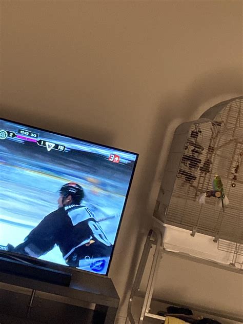 We Both Love Ice Hockey R Nhl