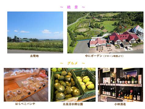 ガイド付きサイクリングモニターツアー2022（北空知・南空知）・完｜そらち・デ・ビュー 札幌から日帰りで楽しめる、北海道