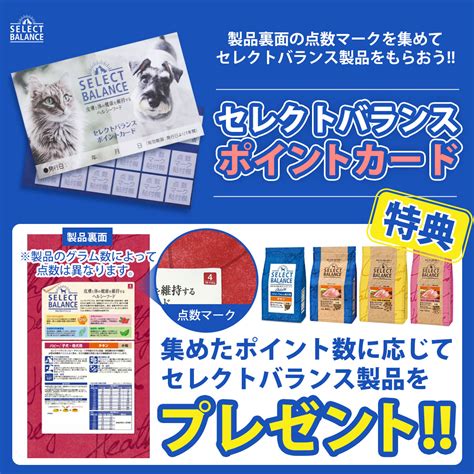【楽天市場】おまけ付き セレクトバランス エイジングケア チキン 小粒 3kg 3キロ ドッグフード 犬 イヌ 成犬 ペット 健康 無着色