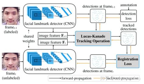 人脸关键点检测综述 知乎