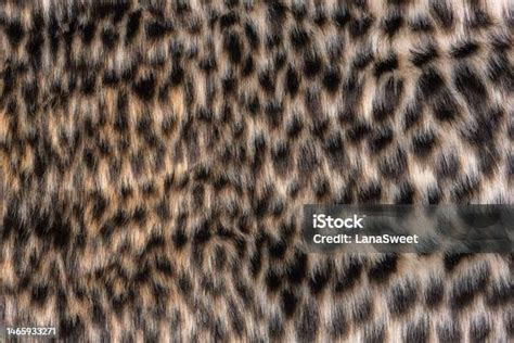 Tampilan Atas Tekstur Bulu Macan Tutul Latar Belakang Atau Tekstur