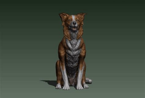 Border Collie ⏩20off All Models⏪ Rcults3d
