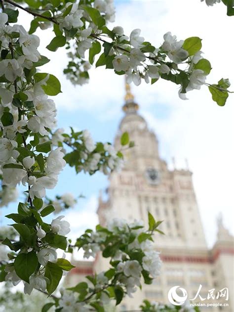 Си Цзиньпин призвал к укреплению обрабатывающей промышленности для продвижения китайской