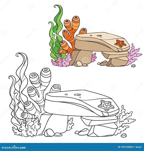 珊瑚海和海葵生长在岩石上色书线画 向量例证 插画 包括有 海洋 设计 图象 概述 五颜六色 起泡的 193129804