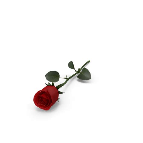 Red Rose Png Images And Psds For Download Pixelsquid S113834978