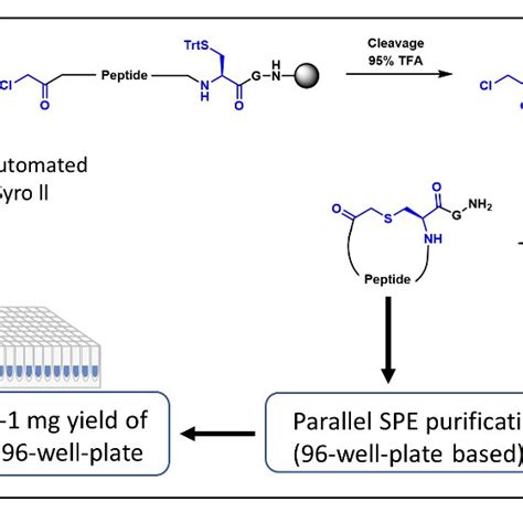 Schematic Example Of High Throughput Automated Peptide Synthesis