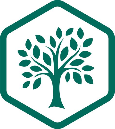 foundations of mesh in medline
