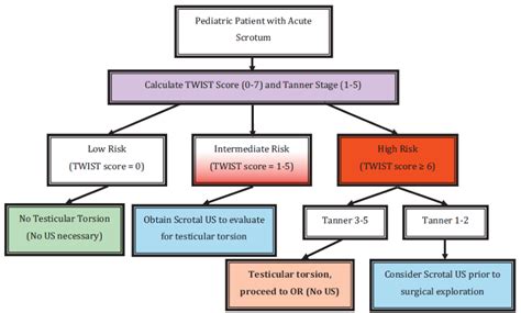 Testicular Torsion Emottawa Blog