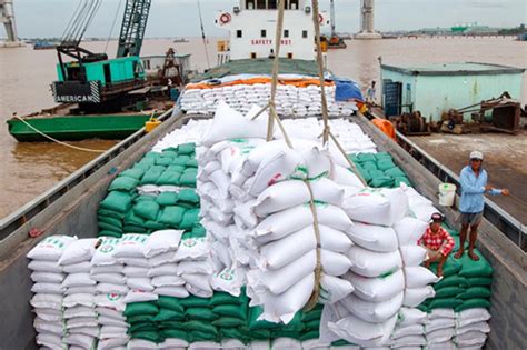 Rice Exporting Vietnam S Economic Engine And Global Leader Havigo Vn