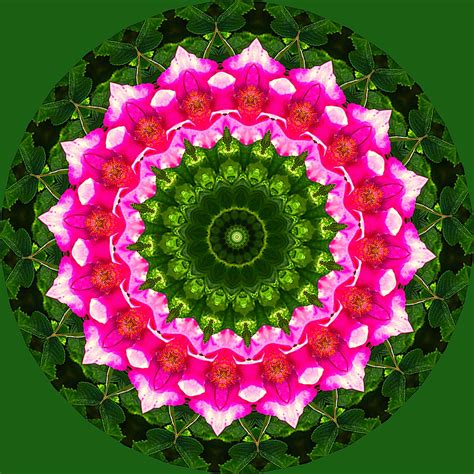 Solve 1 Very Large Jigsaw Puzzle Online With 225 Pieces