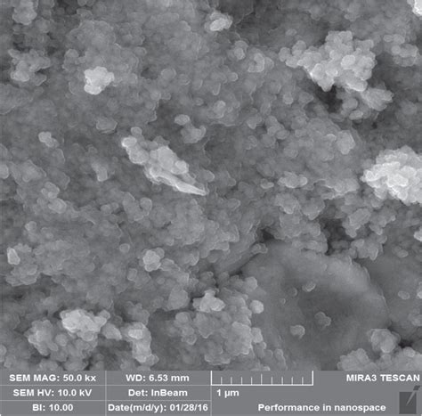 Sem Micrograph Of Sno2 Nps Synthesized Via Microemulsion Method