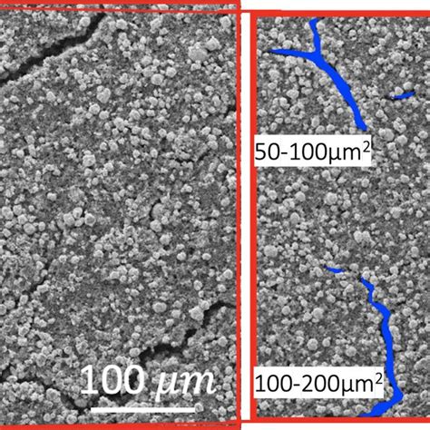 Sem Analysis Of An Electrode Surface The Original Scan Is Shown To The