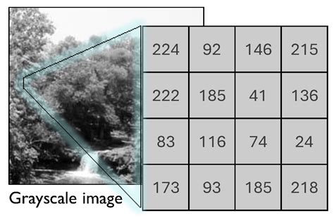 Induction Of Convolutional Decision Trees For Semantic Segmentation Of Color Images Using