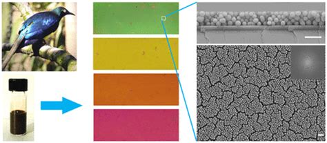 Self Assembly And Polymer Research