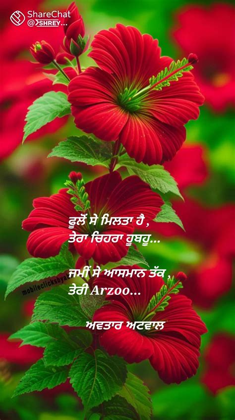 Avtar Atwal On Linkedin ਮੇਰੇ