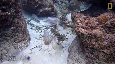 My Junk Roboflow Universe My Junk Roboflow Universe