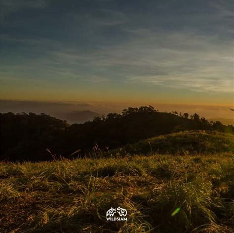 ทัวร์ดอยลังกาหลวง ลังกาน้อย ผาโง้ม อุทยานแห่งชาติขุนแจ 3วัน2คืน Wild Siam