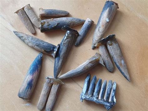 Alien Warrior Steven Lovell