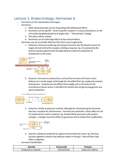 Anhb2216 Lecture Notes 1 4 Lecture 1 Endocrinology Hormones A