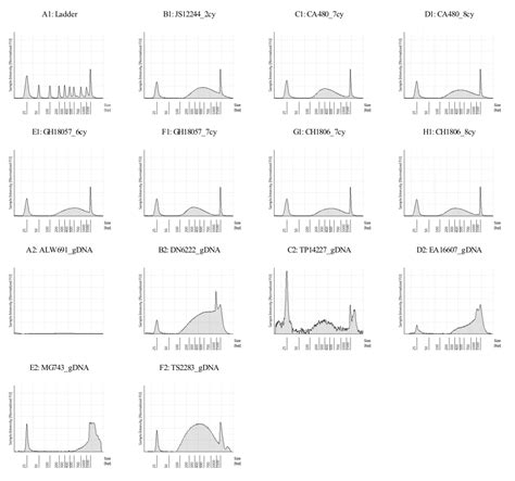 Wet Lab Notebook Template — Bioinformatics Rbge Documentation