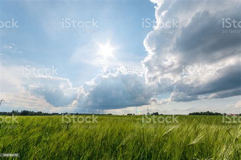 녹색 필드입니다 아름다운 구름이 있는 여름 풍경 화창한 날씨 0명에 대한 스톡 사진 및 기타 이미지 0명 경관 계절 Istock